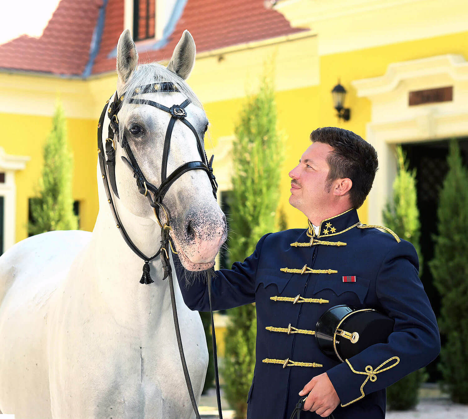 State Stud Farm Szilvásvárad - Állami Ménesgazdaság Szilvásvárad
